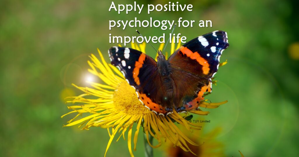 Positive Psychology - Life Force Quanta